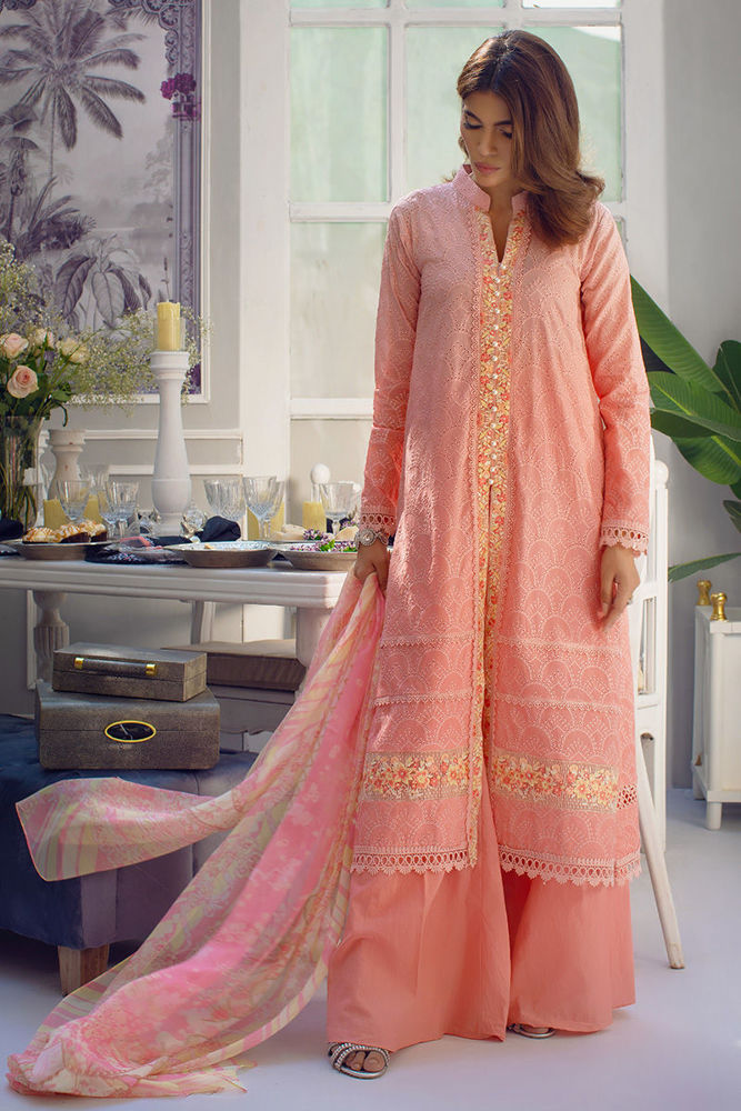 Ansab Jahangir Studio - Shaki